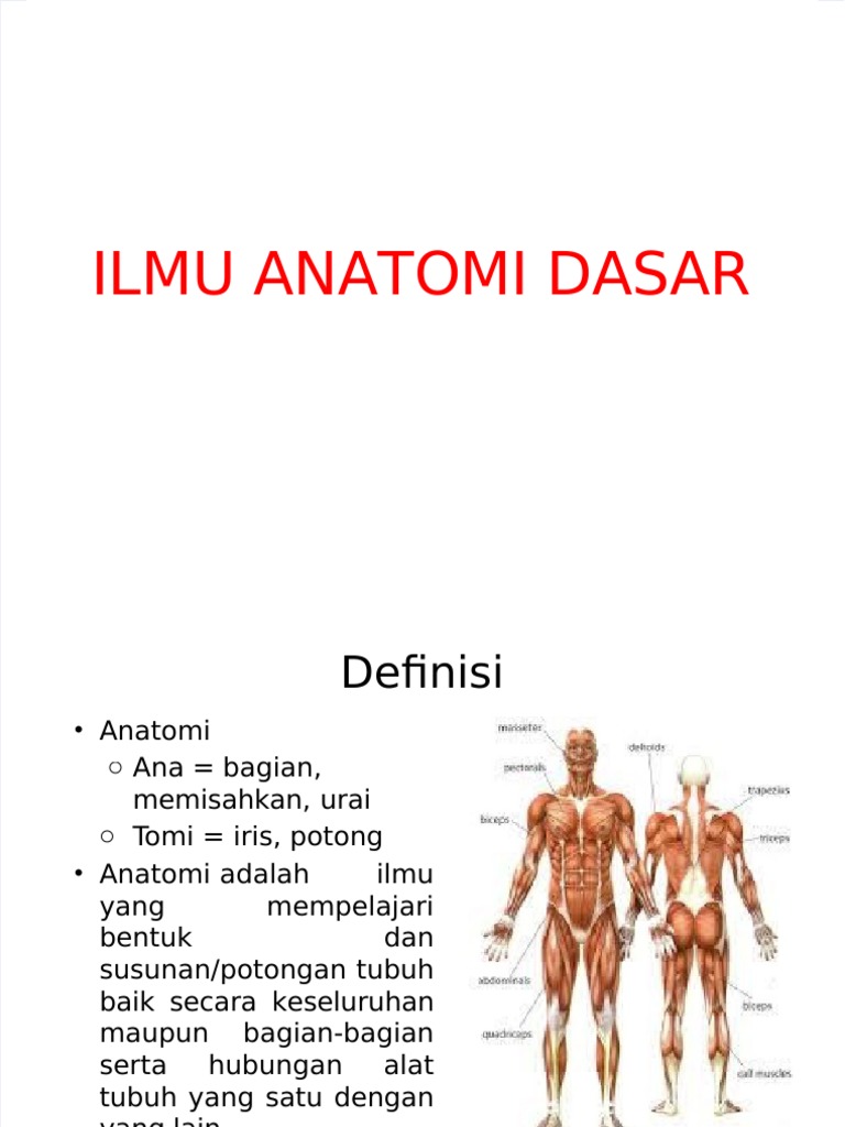 Dokumen - Tips Ilmu Anatomi Dasar | PDF