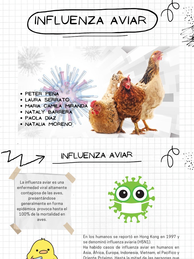 Influenza Aviar: Síntomas y Prevención | PDF
