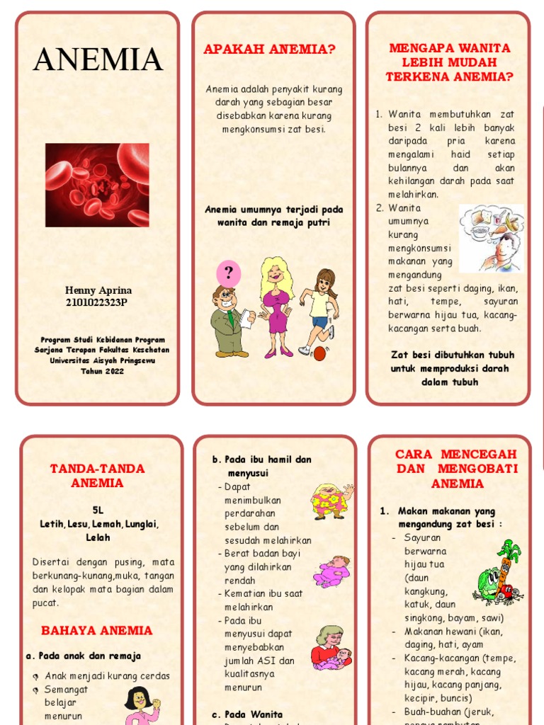 Leaflet Anemia | PDF