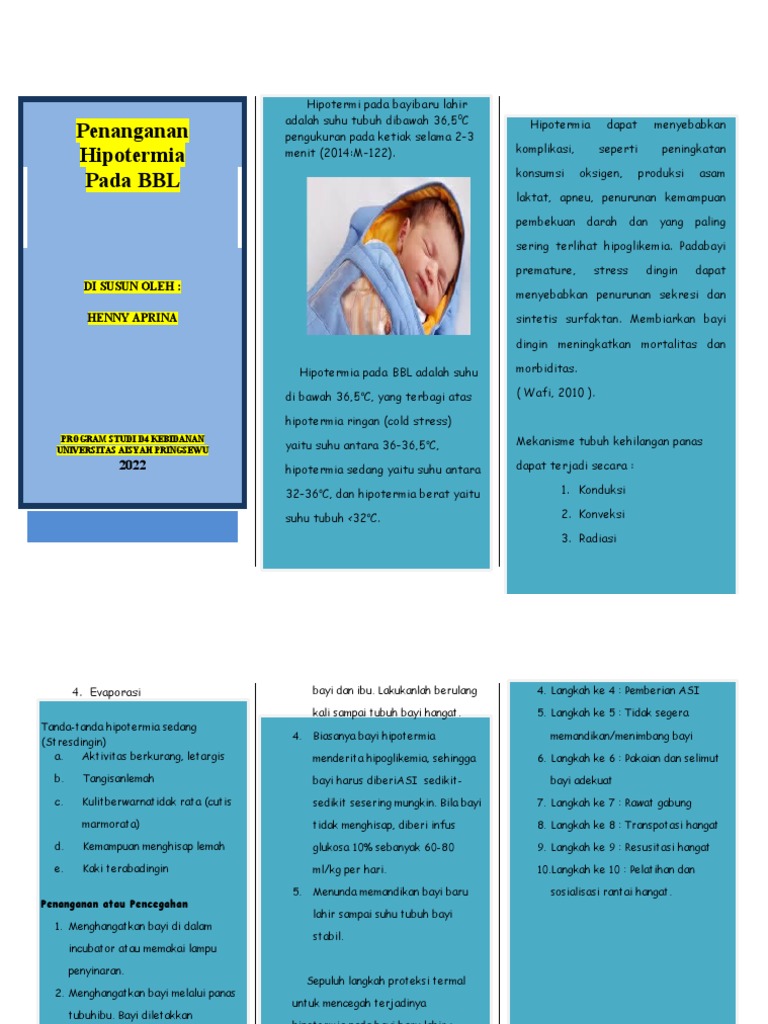 Leaflet Hipotermia | PDF