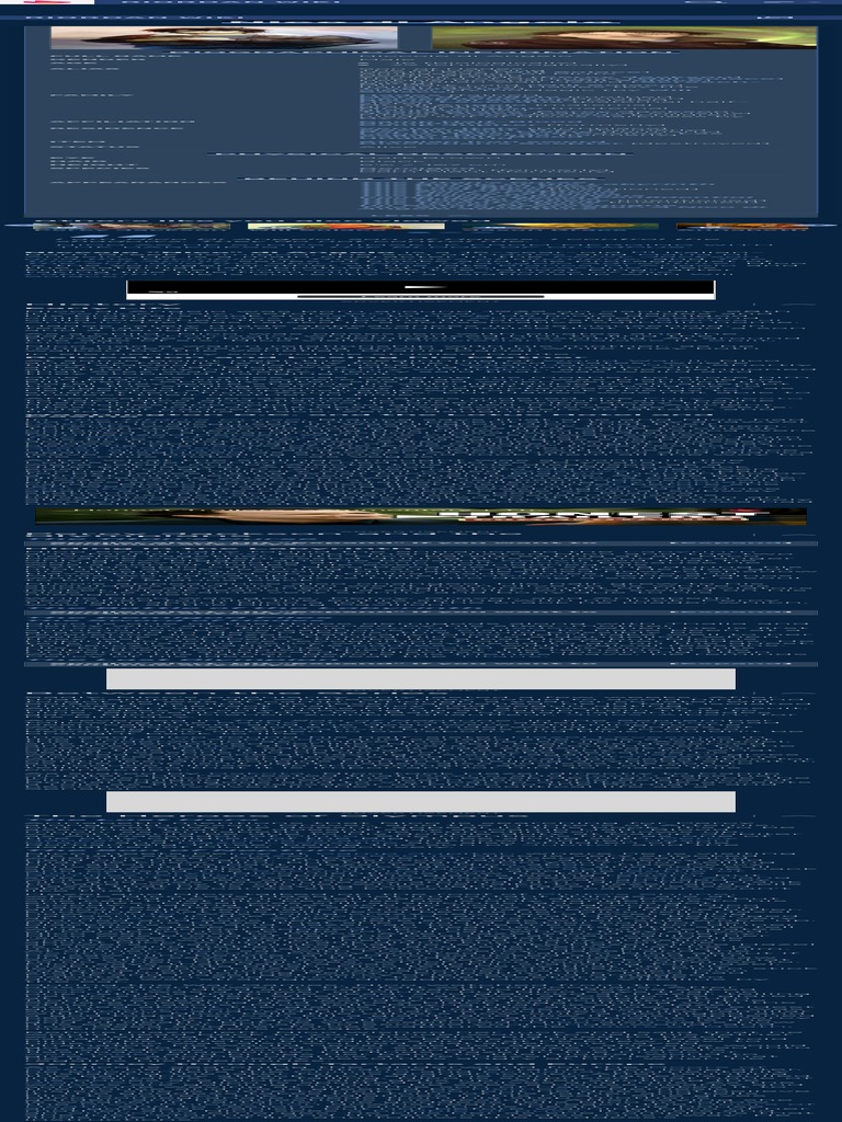 Nico Di Angelo Riordan Wiki Fandom | PDF