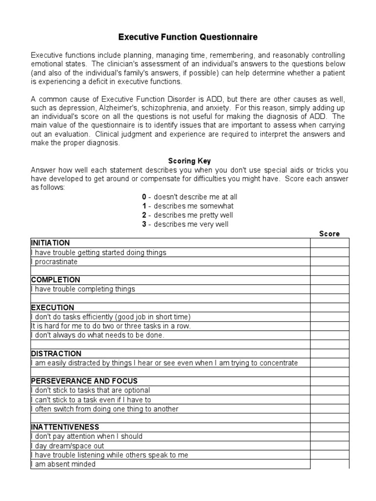 Executive Function Questionnaire | PDF