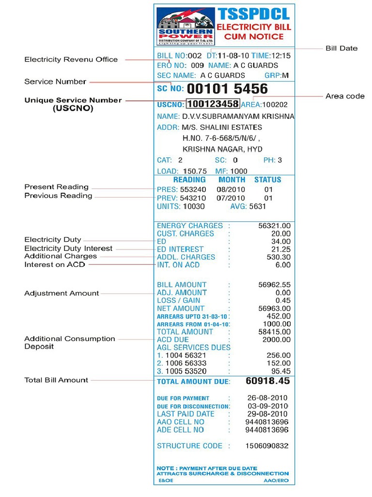 TSSPDCL Bill Sample Format 1 | PDF