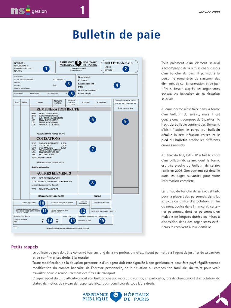 Bulletin de Paie AP-HP : Informations Clés | PDF | Bulletin de salaire ...