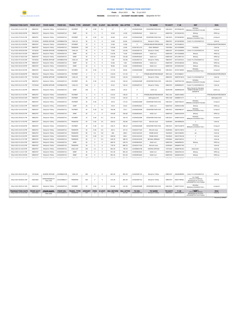 Momo Statement Report | Download Free PDF | Payments | Money