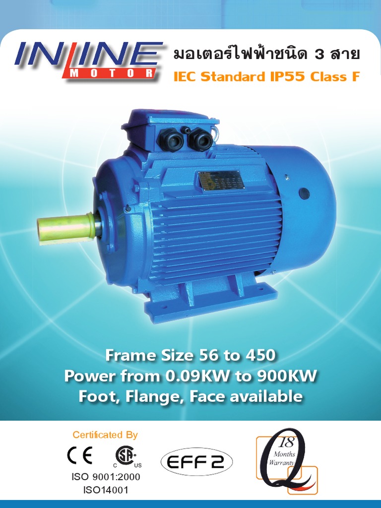 IEC Standard IP55 Class F: Frame Size 56 To 450 Power From 0.09KW To ...