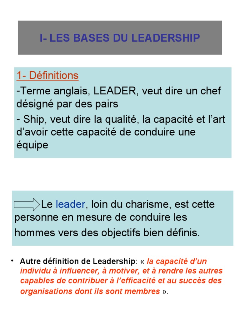 Les Bases Du Leadership | PDF | Affaires