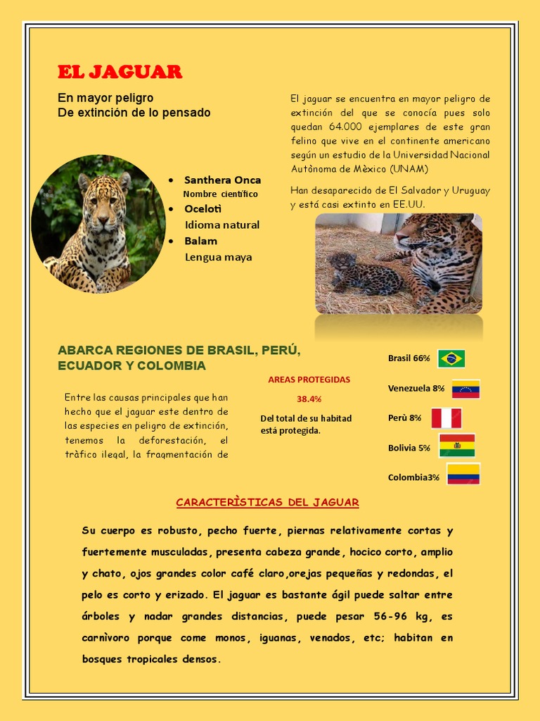 El Jaguar | PDF