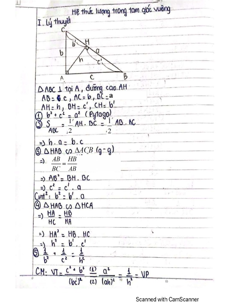 (9A1) - NDBH - He Thuc Luong Trong Tam Giac Vuong | PDF