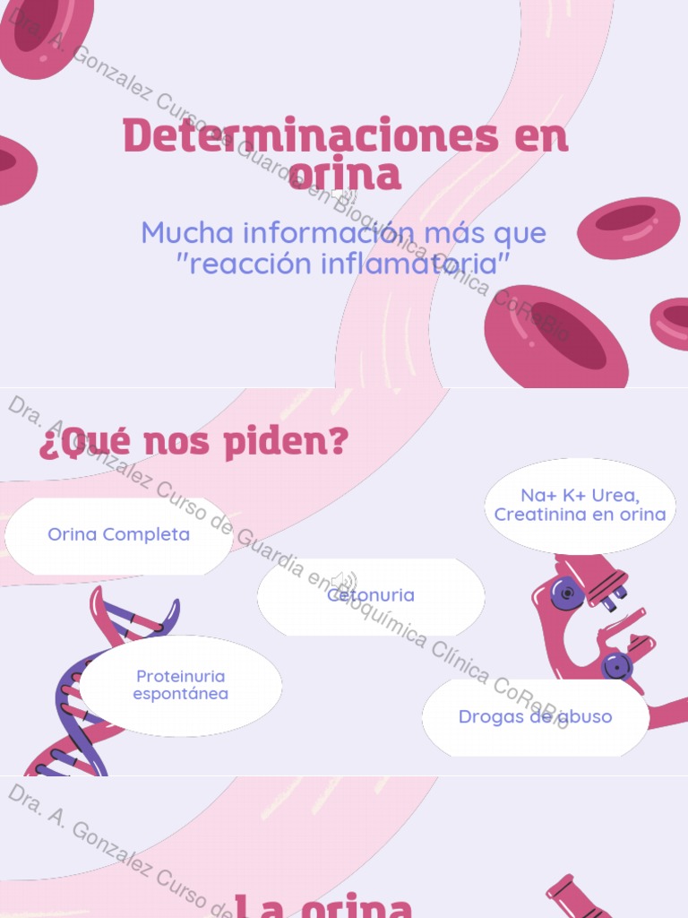 CLASE 2 Orinas | PDF | Especialidades Medicas | Medicina CLINICA