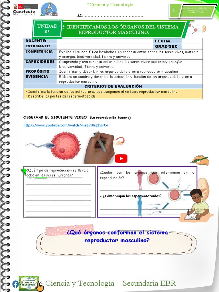 B-4º Act 2-Cyt-Und 5 | PDF