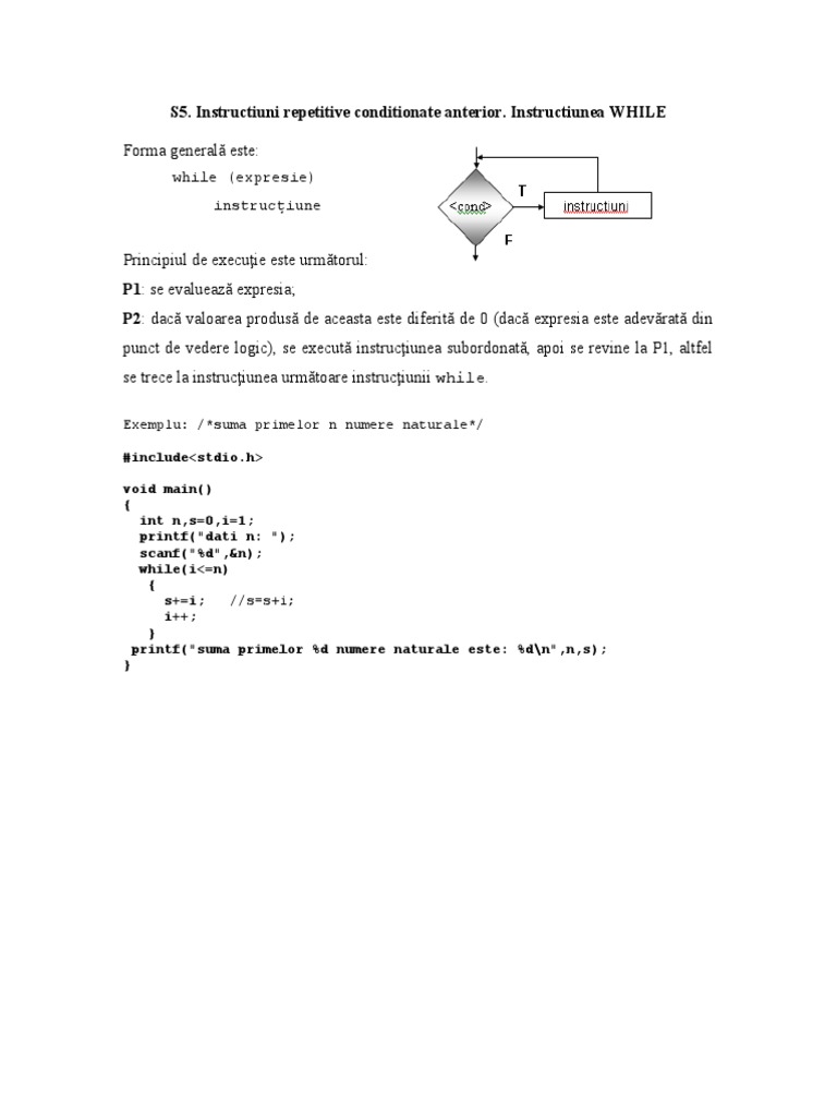 S5 Intructiunea WHILE | PDF