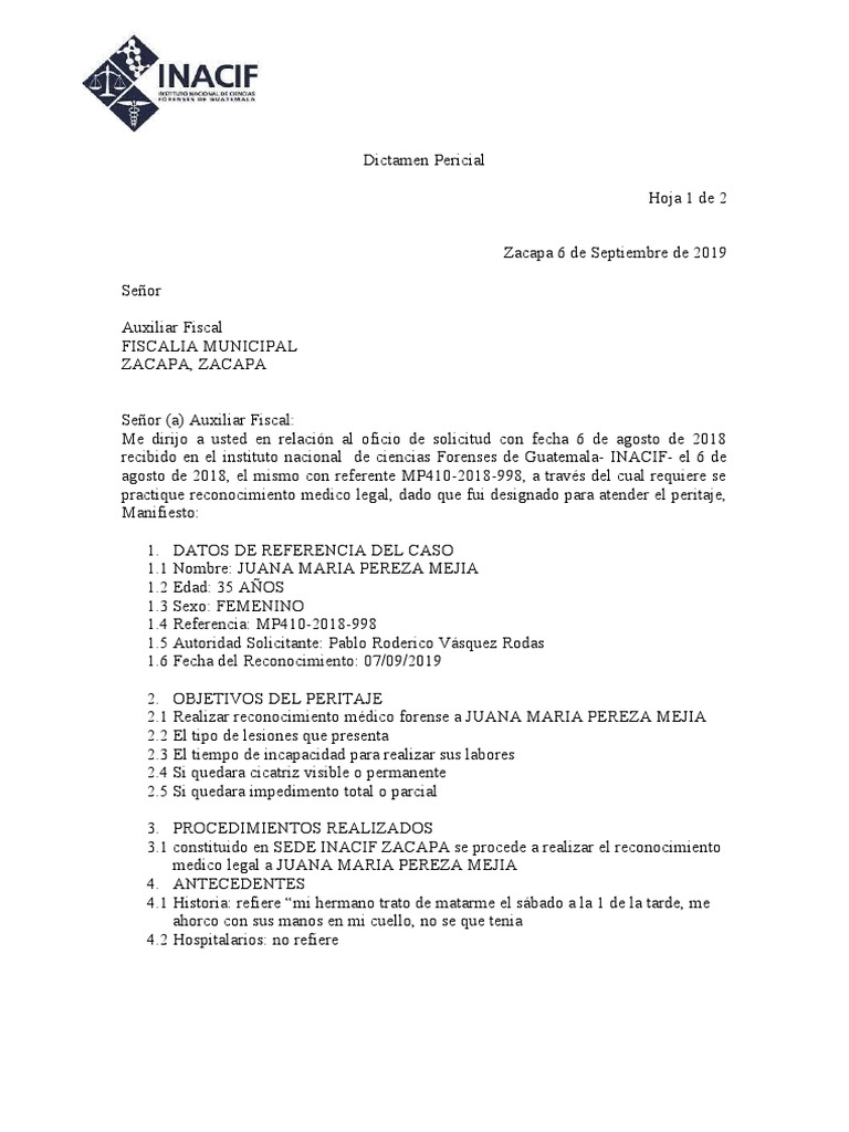 Dictamen Pericial | PDF
