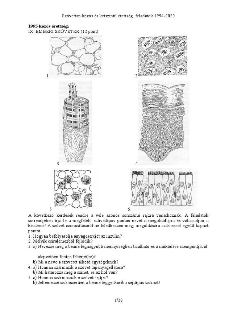 Szovettan Kozos Es Ketszintu Erettsegi Feladatok 1994 2020 | PDF