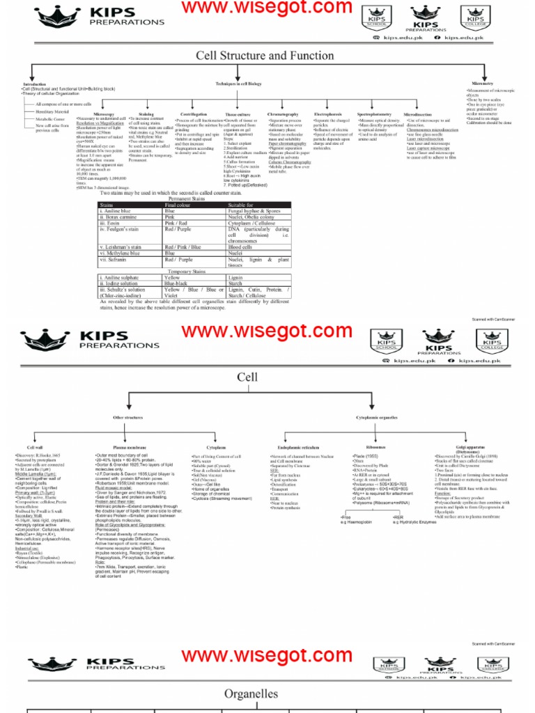 KIPS Bio Quick Revision | PDF