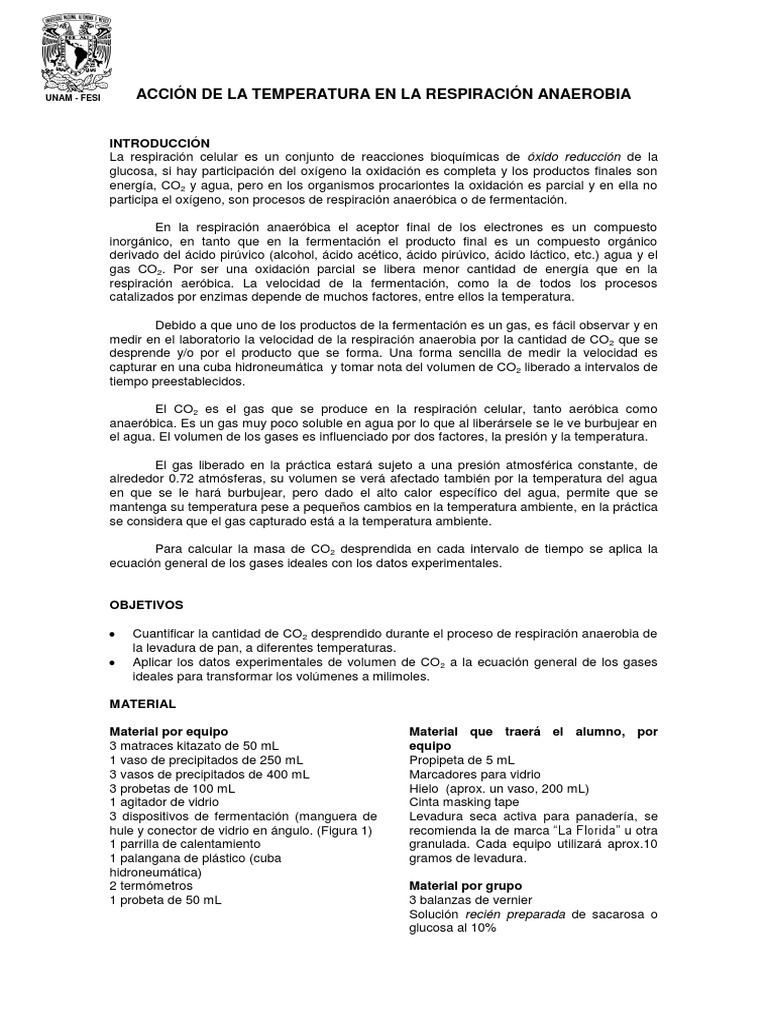 Respiración Anaerobia FISICOQUIM P1 | PDF | Respiración celular ...