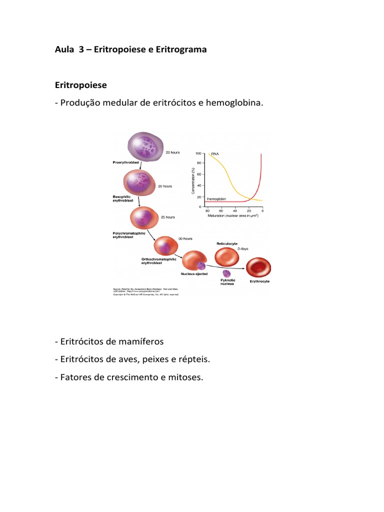 Eritropoiese e Eritrograma: Guia Completo | PDF | Tecnologia e Engenharia
