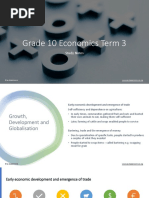 Economics Grade 10 Eclassroom Term 3 Notes | PDF | Taxes | Mining