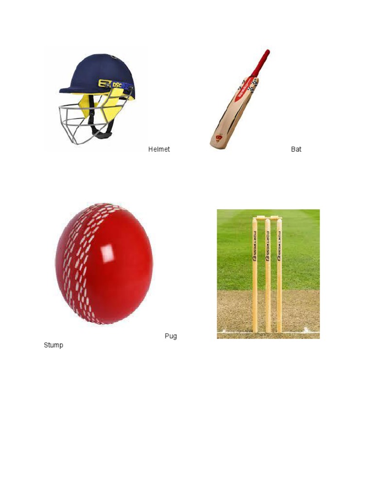 Cricket | PDF