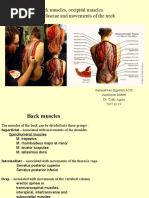 Anatomy of Back Muscles | PDF | Musculoskeletal System | Human Anatomy