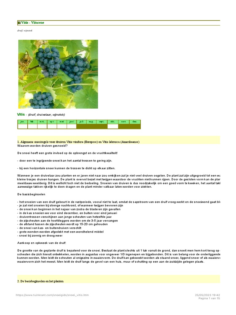 Snoeien Vitis - druif, wijnstok | PDF