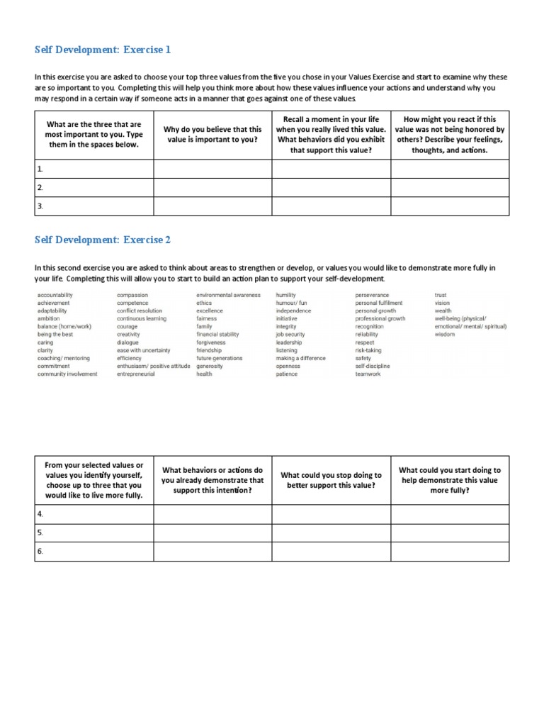 Values Self Development Exercises | PDF