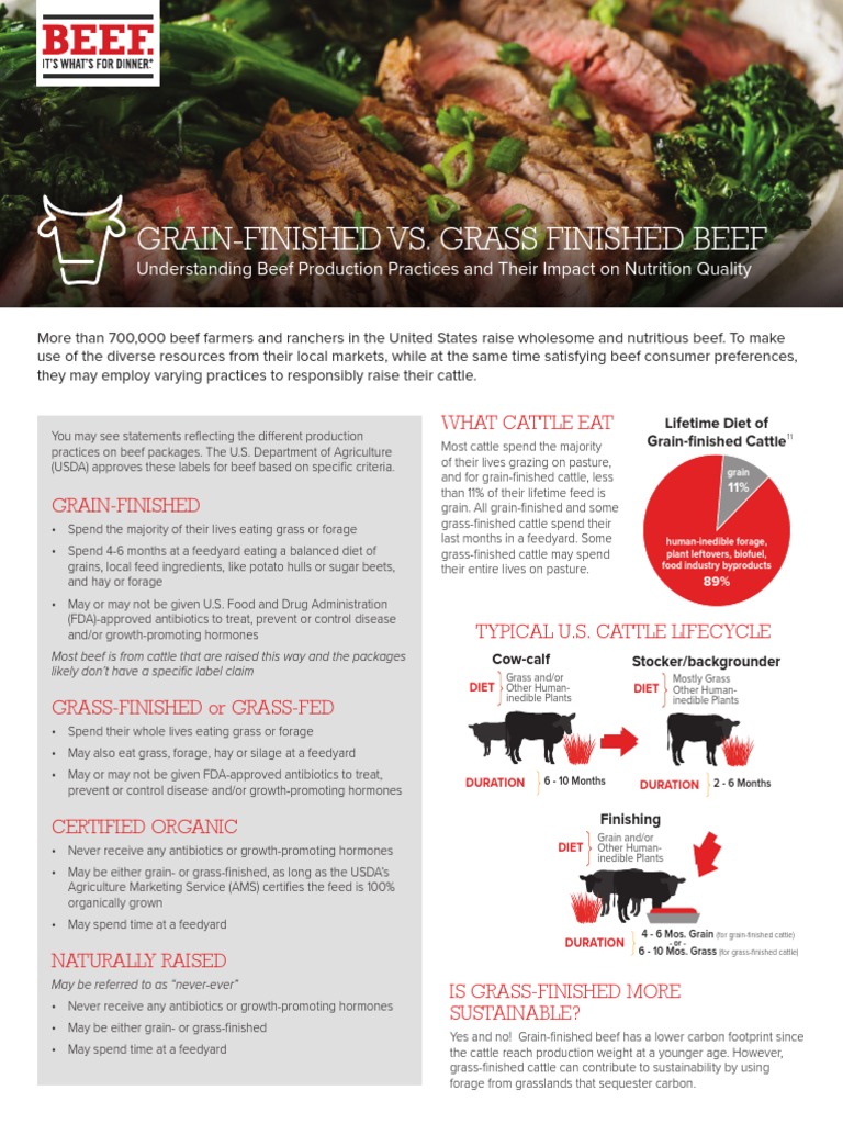 Final - Grain-Finished Beef vs. Grass-Finished Beef5 - 052919-14 | PDF