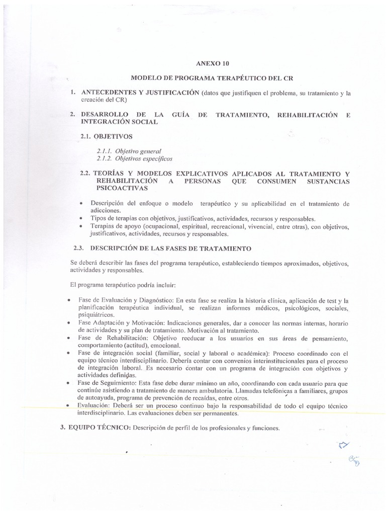 4.-Modelo de Programa Terapeutico | PDF