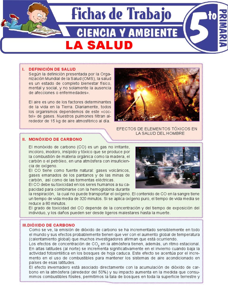 La Salud para Quinto Grado de Primaria | PDF