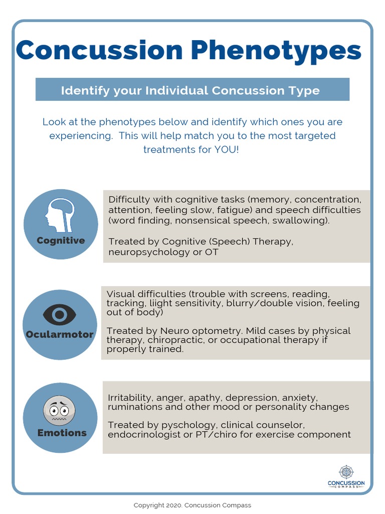 Concussion Phenotypes-3 | PDF