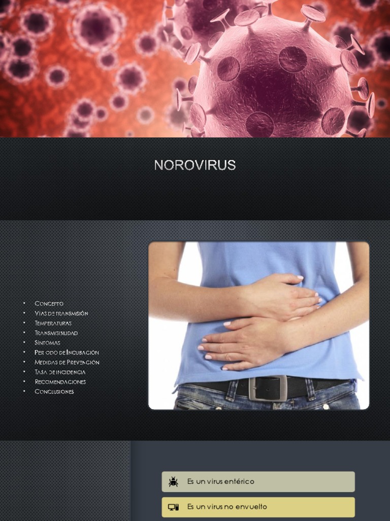 Norovirus 100% | PDF