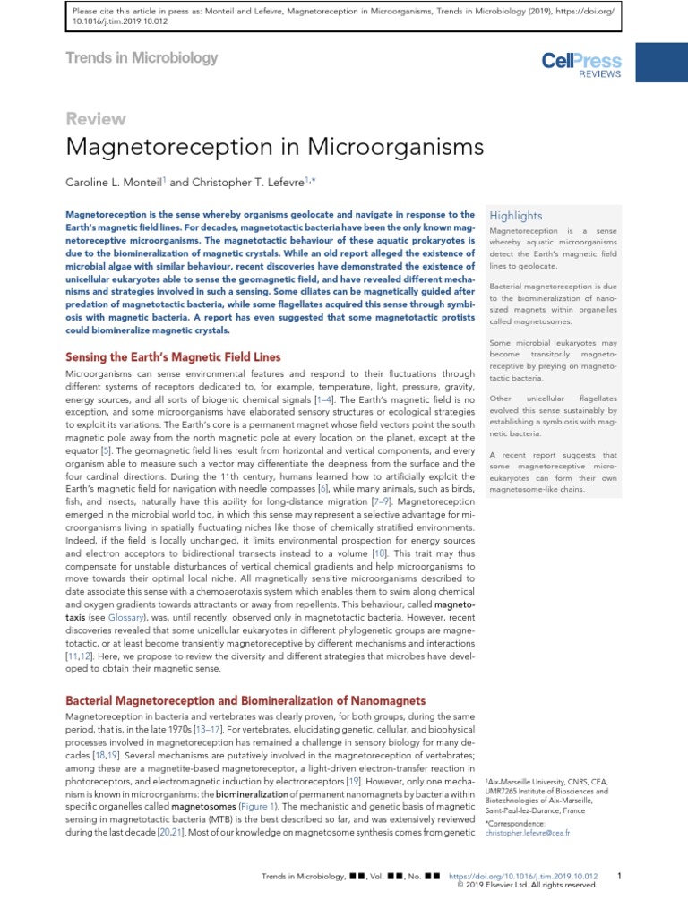 Magnetoreception in Microorganisms | PDF | Microorganism | Eukaryotes