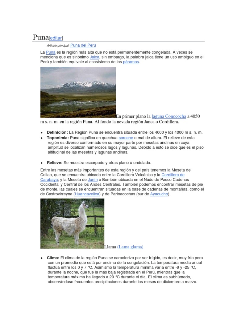 Características de la Región Puna del Perú | PDF