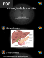 Vesícula en Porcelana y Signo de WES | PDF | Ciencia y matemáticas