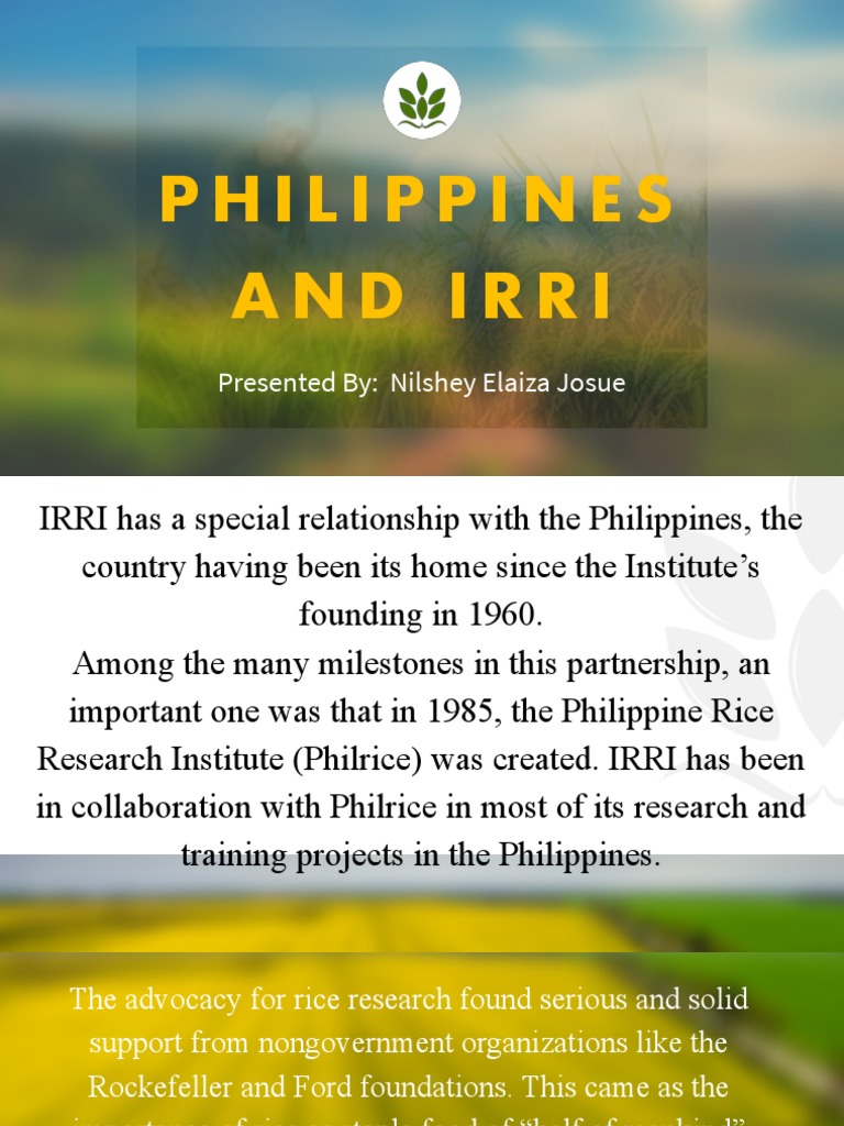 Philippines and IRRI | PDF | International Rice Research Institute | Rice