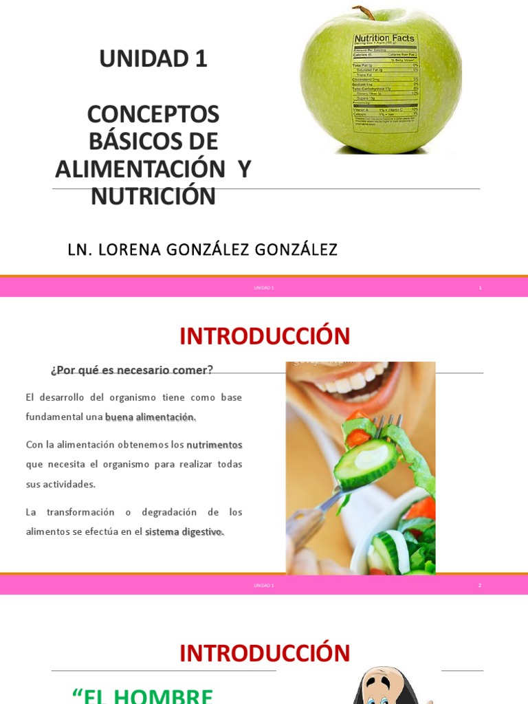 Unidad 1 Conceptos Basicos Nutricion | PDF | Bienestar