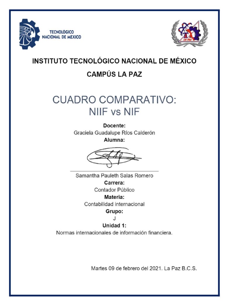 Comparativo NIF vs NIIF EUA | PDF