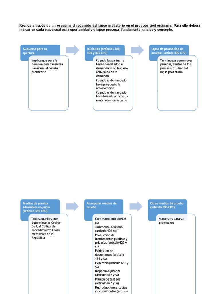 Esquema Practica Forense | PDF | Ley procesal | Ley común