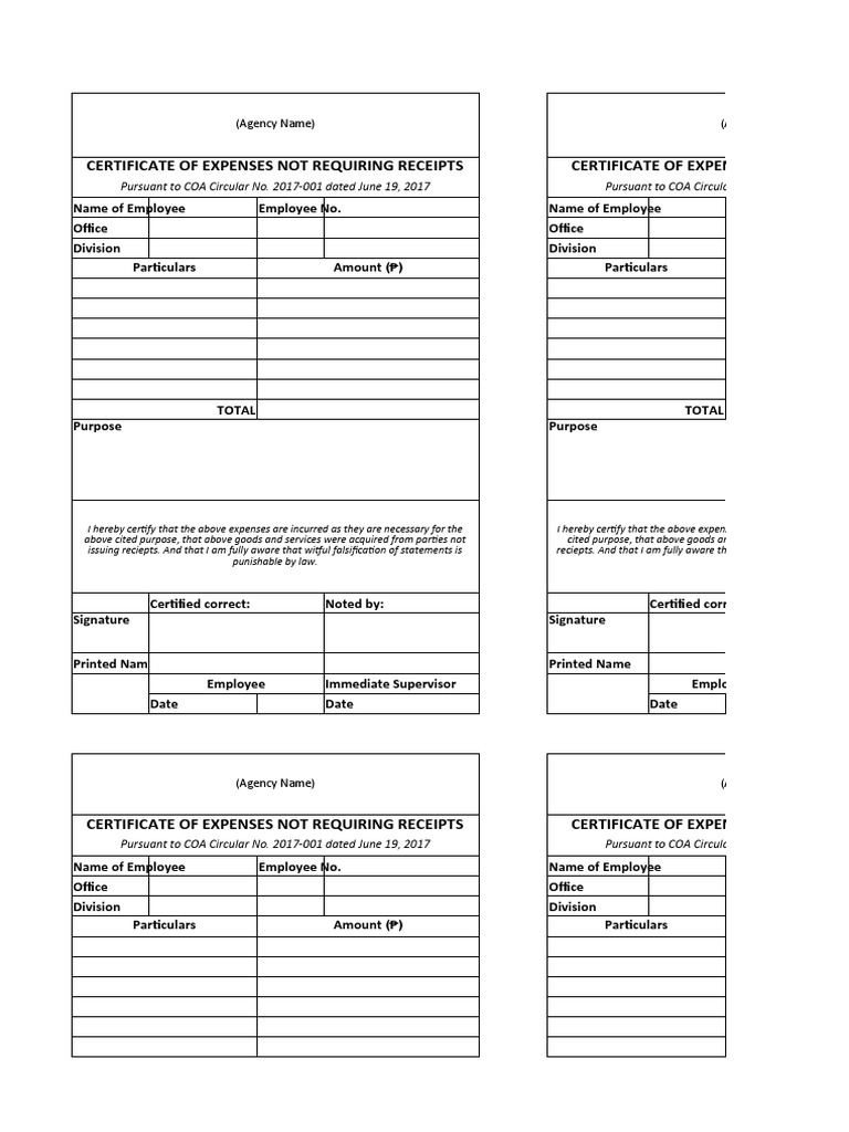 Certification of Expenses Not Requiring Reciepts | PDF