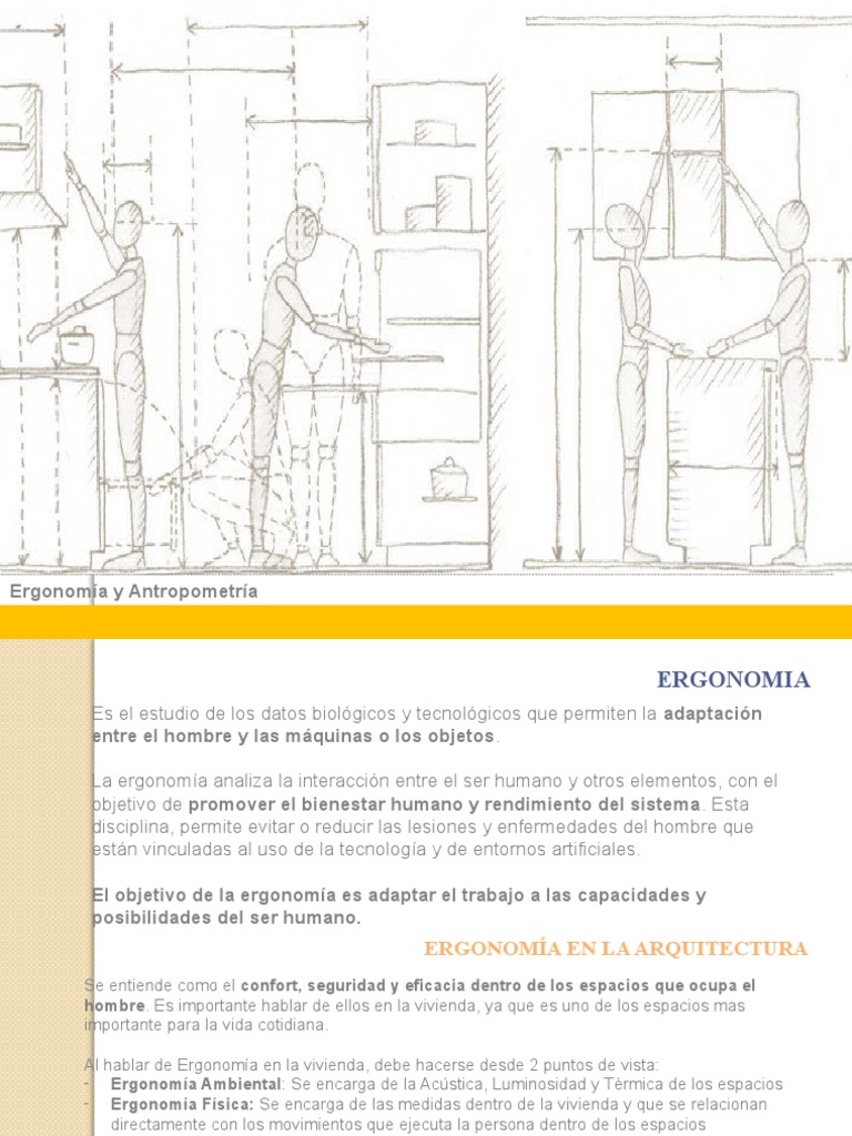 Ergonomia y Antropometria | PDF