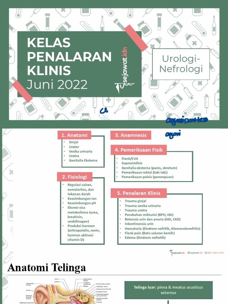 NAIS Jun - Uronefro | PDF