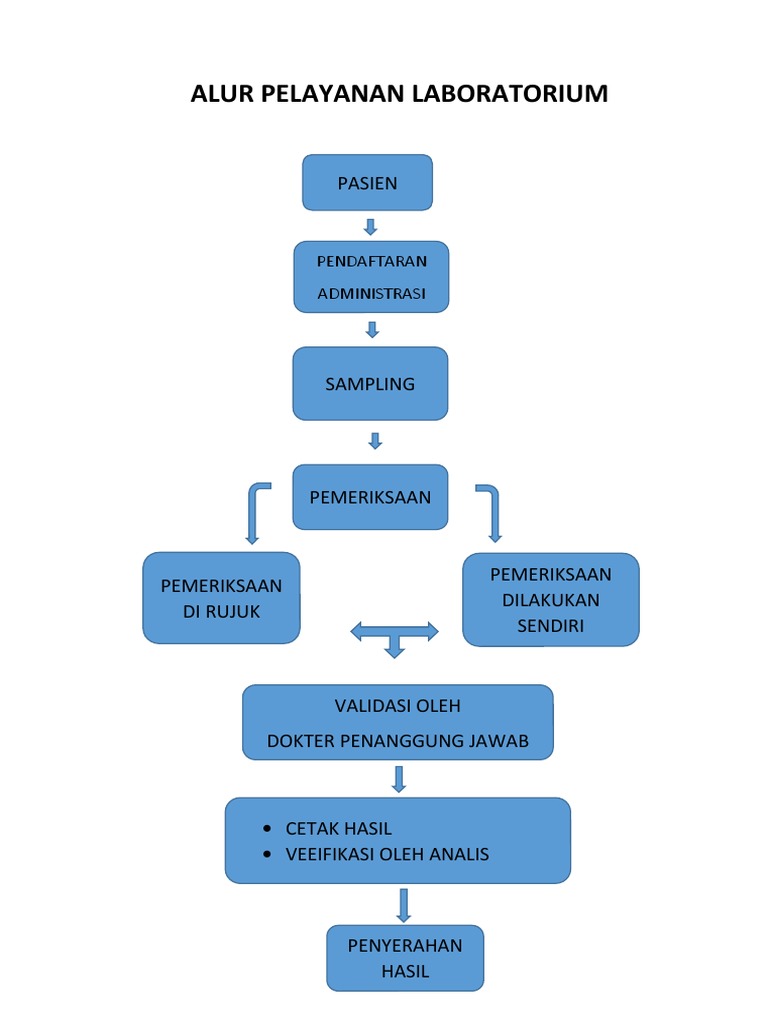 Alur Pelayanan Laboratorium | PDF