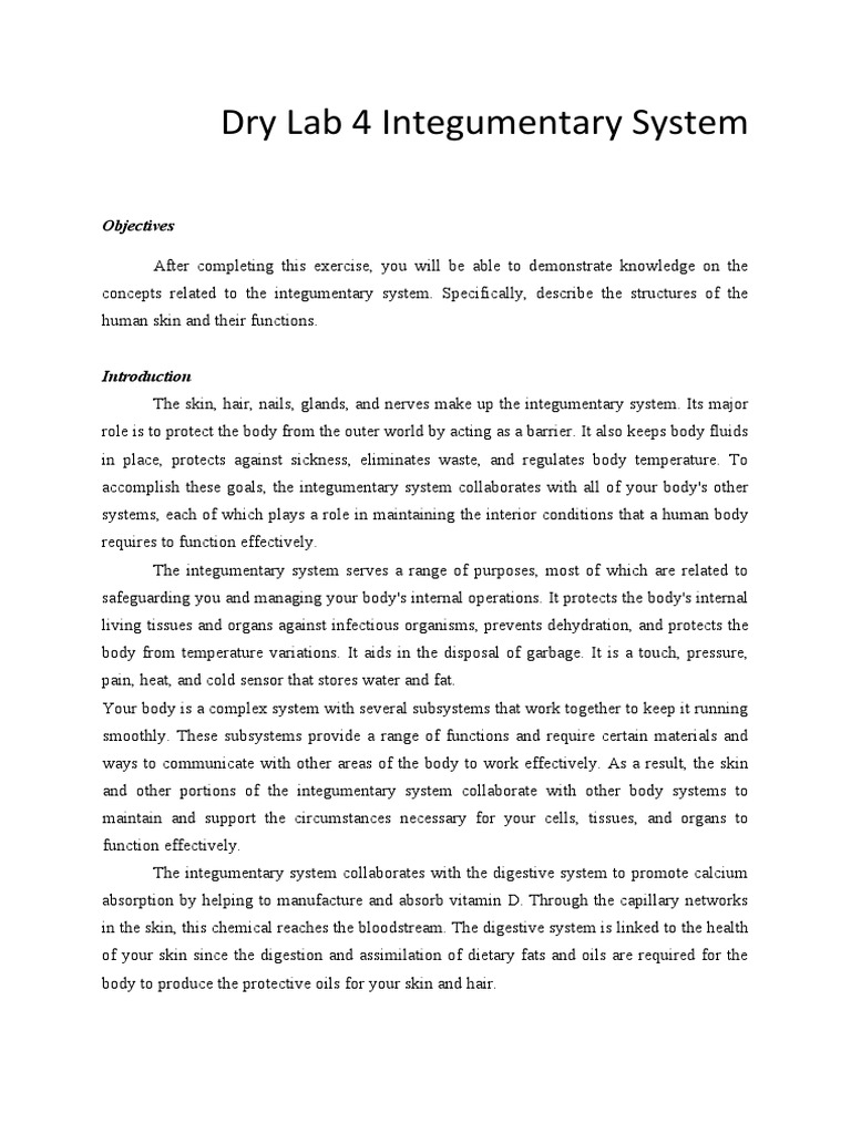 Dry Lab 4 Integumentary System | PDF | Skin | Epidermis