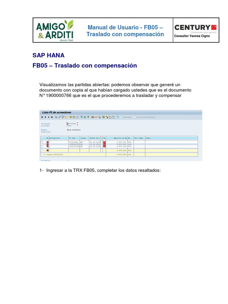 Manual de Usuario - FB05 Traslado Con Compensacion | PDF | Finanzas y dinero