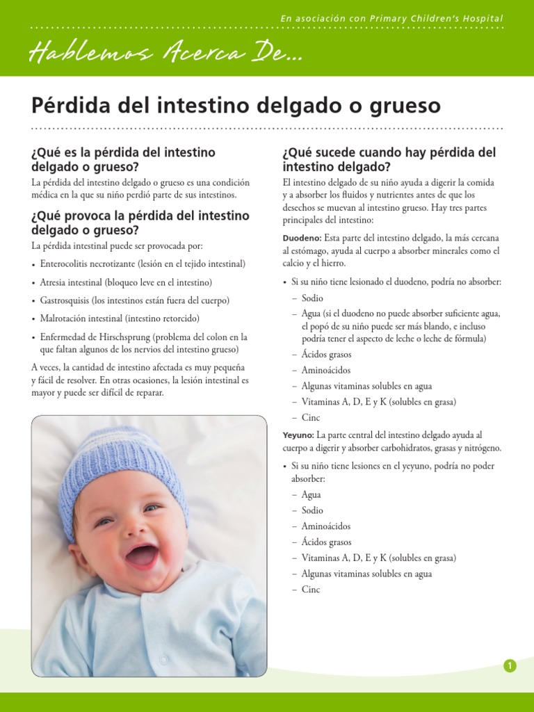 Small or Large Bowel Loss (Let's Talk About... Pediatric Brochure ...