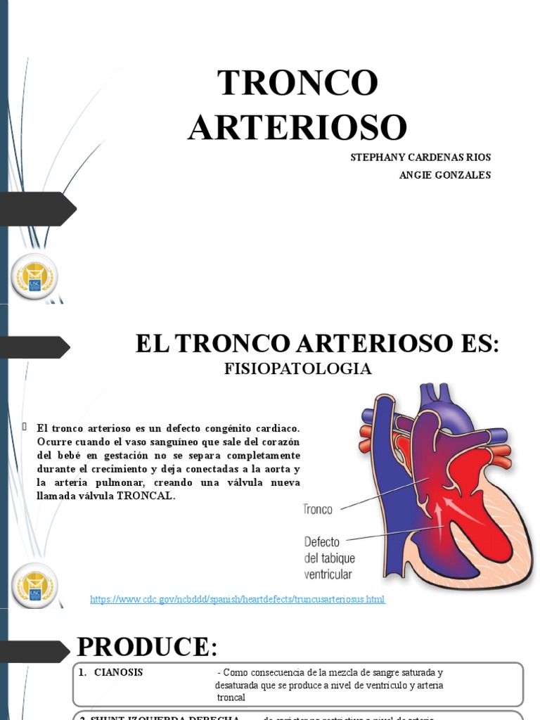 Tronco Arterioso | PDF | Ciencia y matemáticas