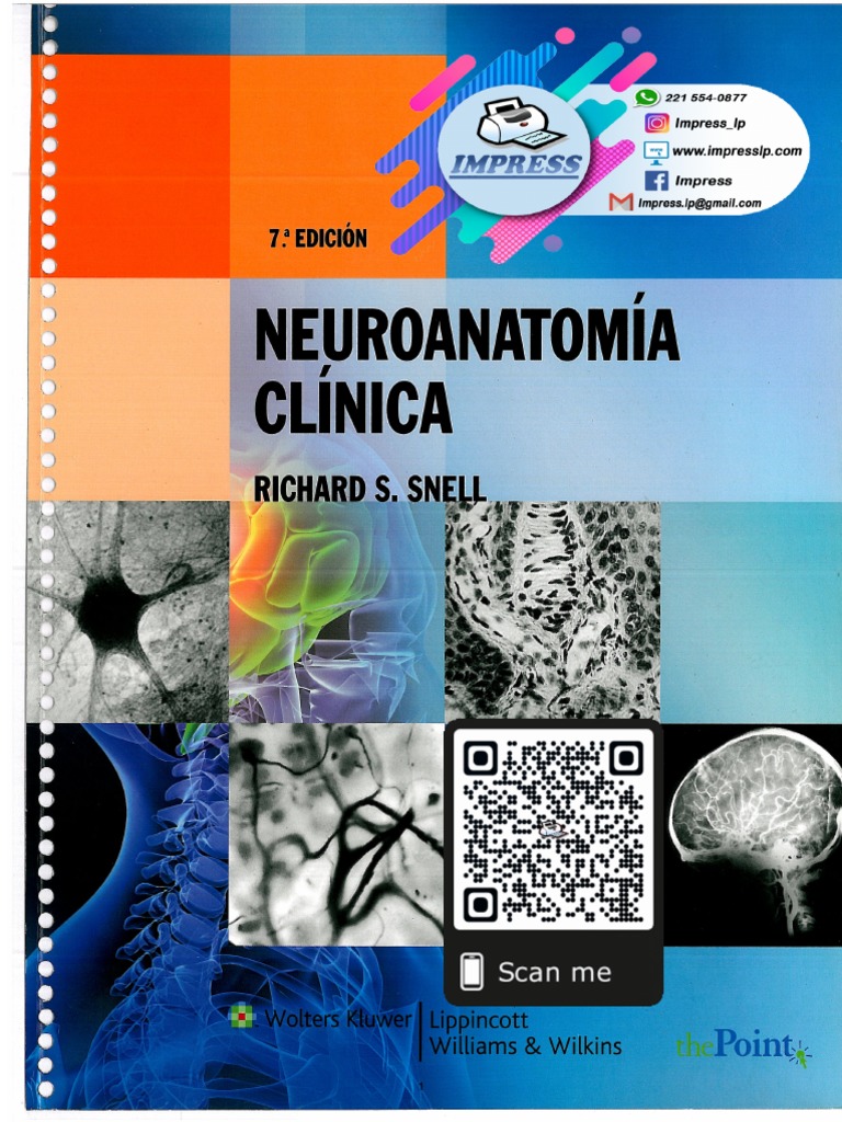 Snell - Neuroanatomía Clínica 7 Ed. | PDF