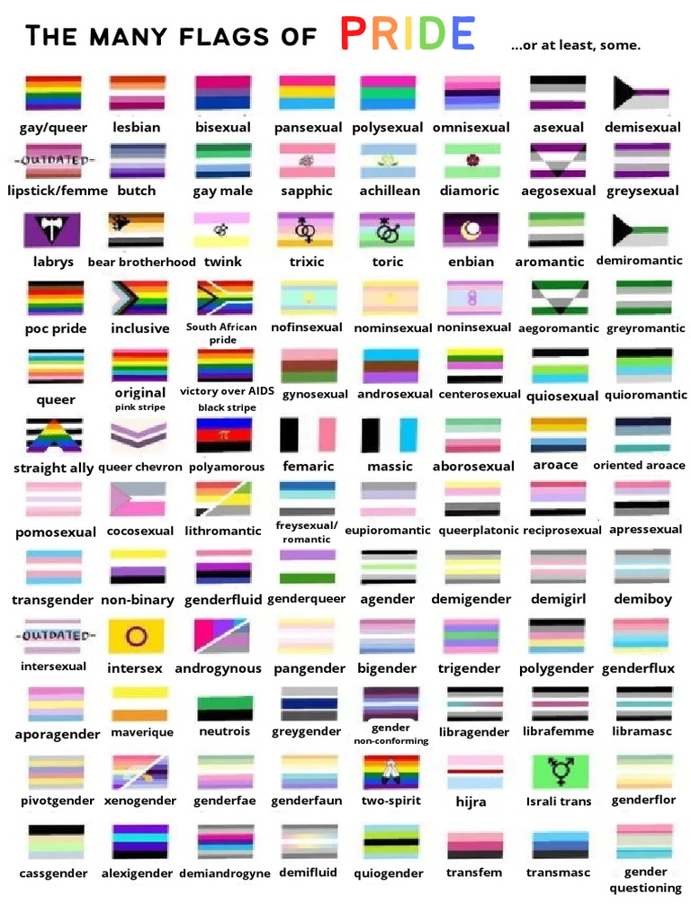 The Many Flags of Pride | PDF