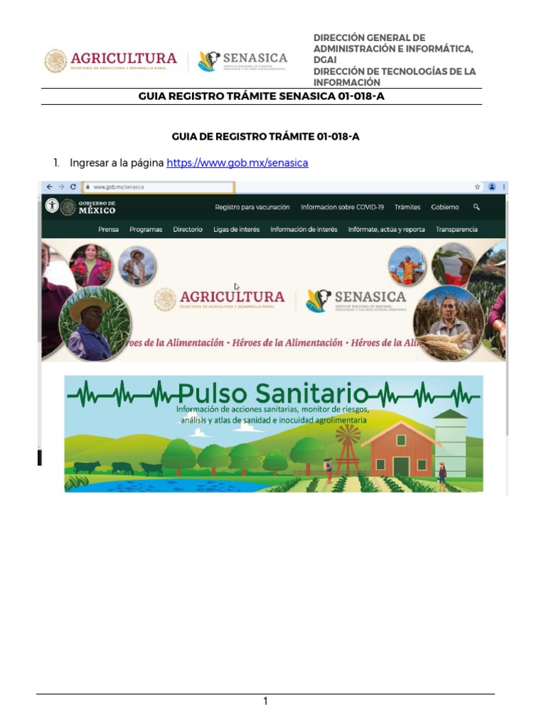 Guia de Registro de Tramite 01-018 A | PDF | Informática | Ventana (informática)