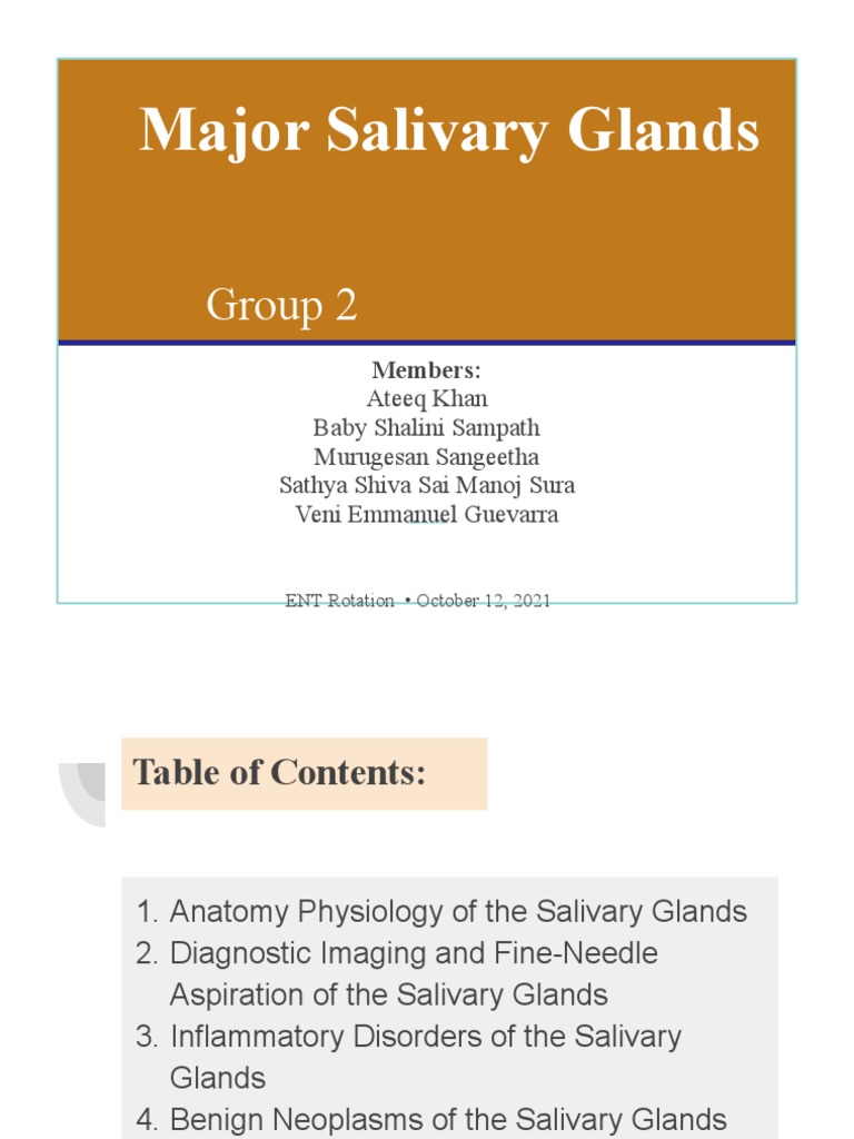 Salivary Gland Anat and Phys Final | PDF | Saliva | Animal Physiology
